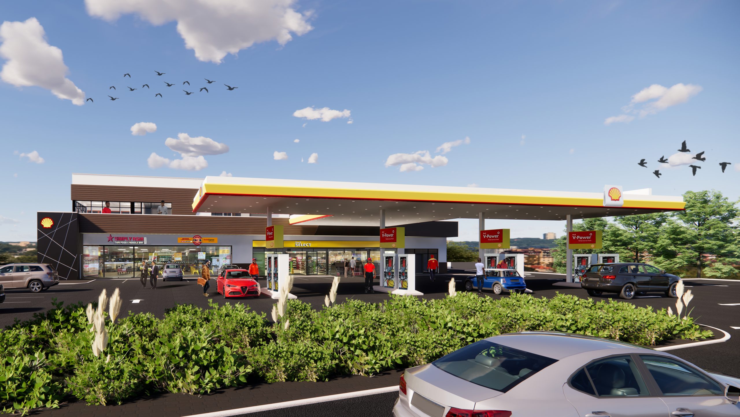 259 SHELL F1 AUTO | Udarch